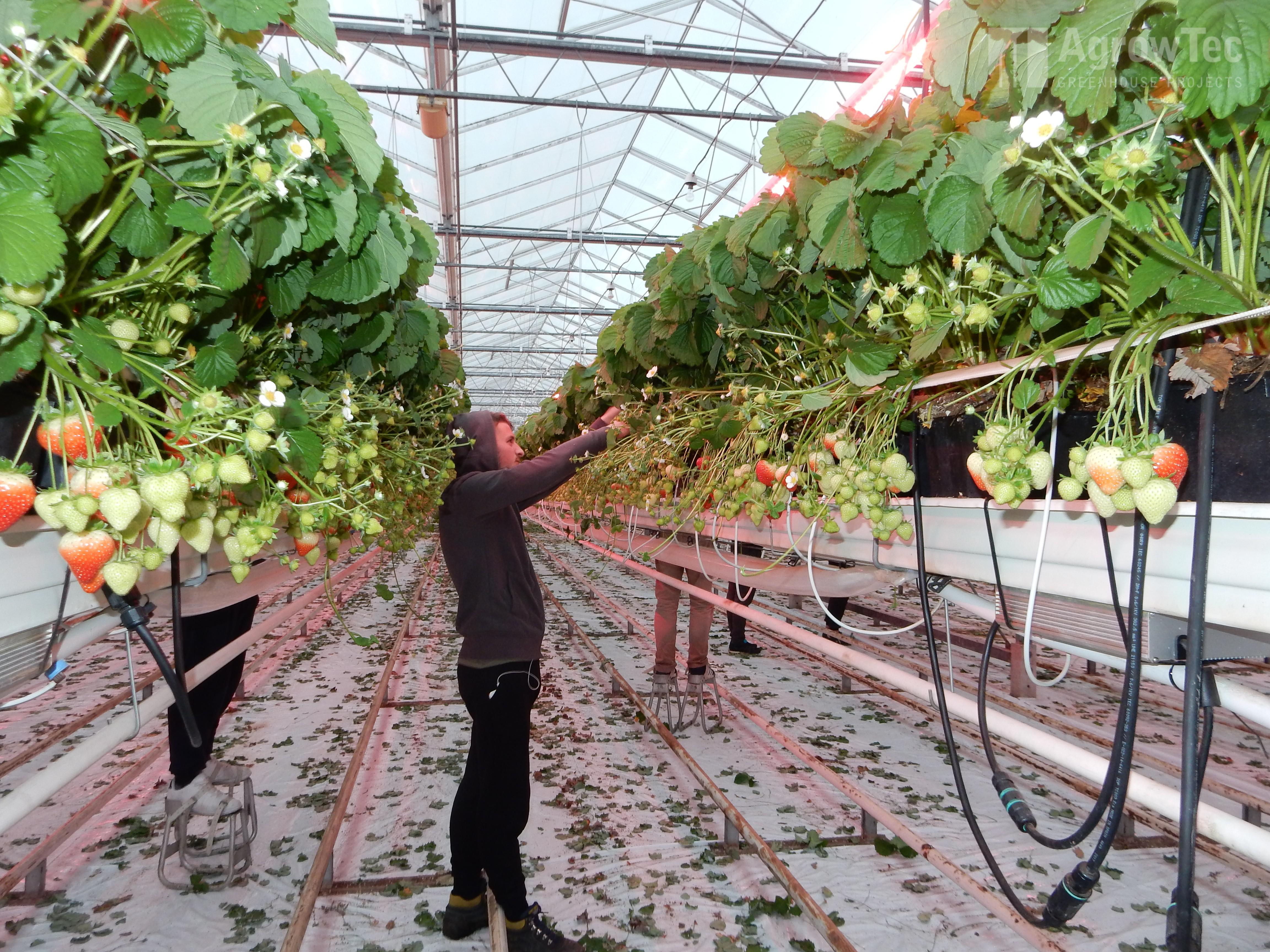 Agrow engineering - Agrowtec