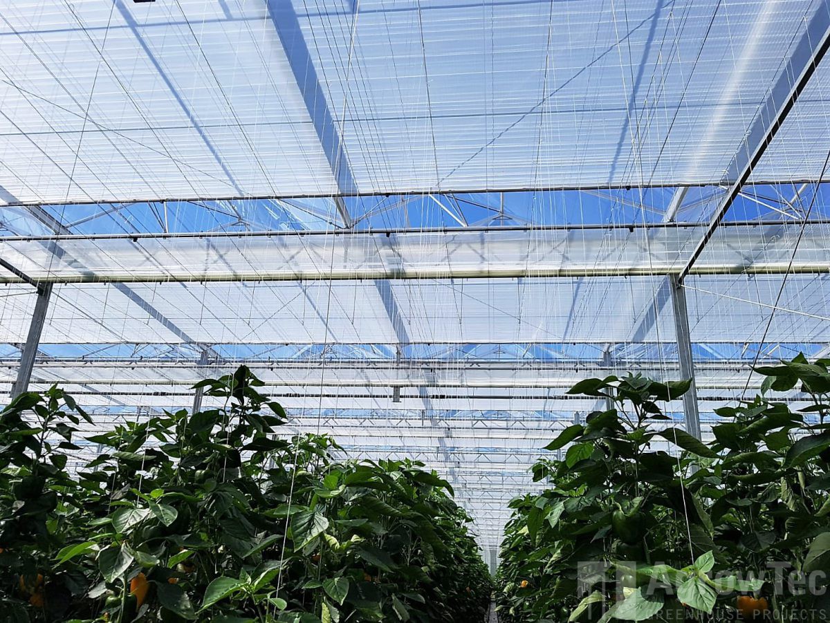 Greenhouse projects – Agrowtec