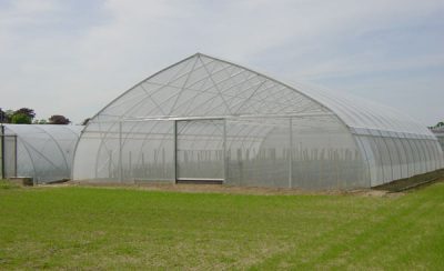 Greenhouse projects – Agrowtec